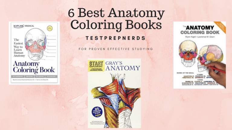 The 9 Best Anatomy Coloring Books [2026 Reviews]