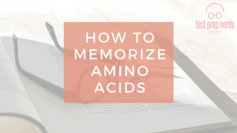 Guide On How To Memorize Amino Acids (3 Effective Techniques)