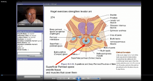 Kaplan USMLE Step 1 Review - Is It Worth It? [2023 GUIDE]