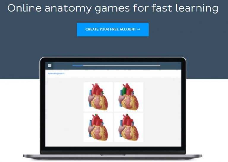 🫀11 Free & Paid Anatomy & Physiology Games / Apps [2024]