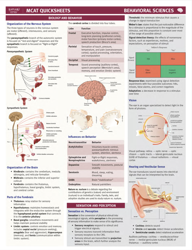 7 Best MCAT Prep Books & Study Guides [November 2025]