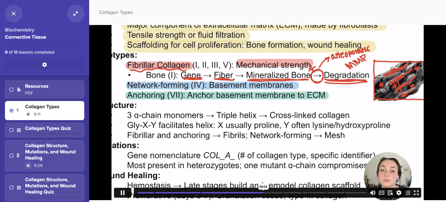 Med School Bootcamp Review [2025] Is It Good For The USMLE?