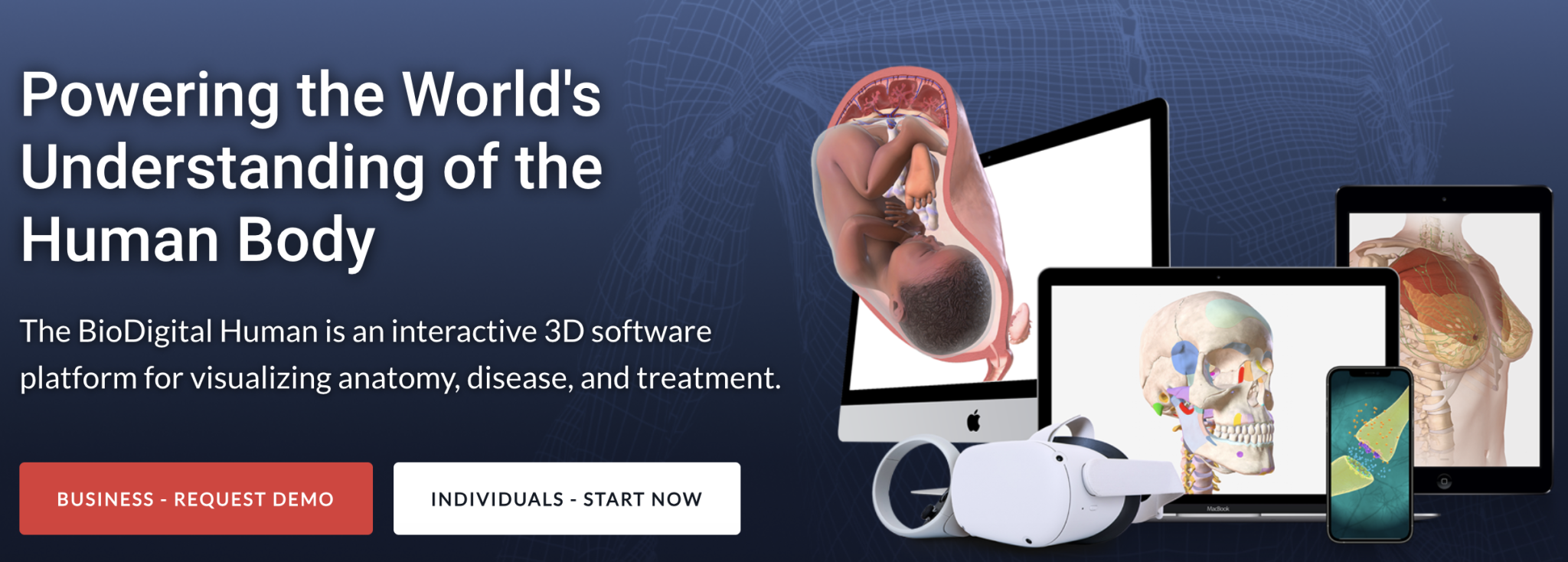 🫀11 Free & Paid Anatomy & Physiology Games / Apps [2024]